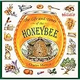Honeybee: The Busy Life of APIs Mellifera : Fleming, Candace, Rohmann ...
