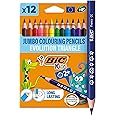 BIC 8297359 Kids Evolution Triangular Colouring Pencils - Assorted Colours, Pack of 12 ...