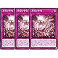 Amazon.co.jp: 【3枚セット】遊戯王カード ROTA-JP076 原石の号咆 （ノーマル） RAGE OF THE ABYSS ROTA 罠 原石 : ホビー