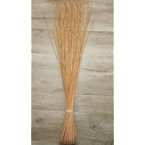 Filipino Broom