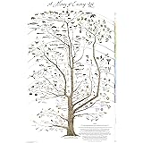 Evolution The Tree of Life Novelty Biology Science Chart Education ...