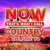 Amazon | Now That's What I Call Country, Volume 13 | Various Artists ...
