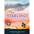 We Are Starlings: Inside the Mesmerizing Magic of a Murmuration ...