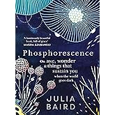 Bright Shining: How grace changes everything. The new book from the ...