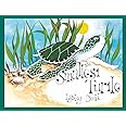 The Smallest Turtle : Dodd, Lynley: Amazon.com.au: Books