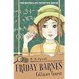 Friday Barnes 13: In Plain Sight: The bestselling detective series ...