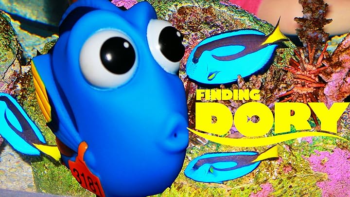 Amazon.co.jp: AQUARIUM VISIT ~ Searching for FINDING DORY Learn About ...