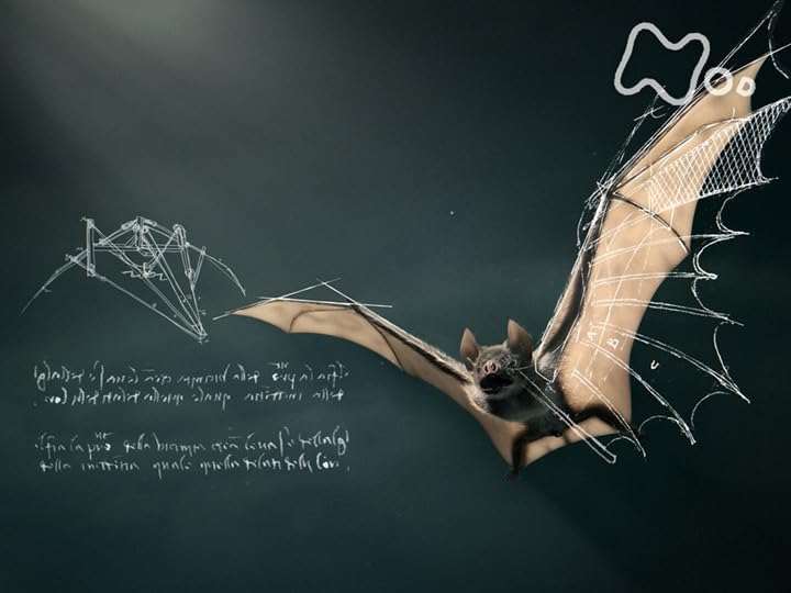 Amazon.co.jp: BS世界のドキュメンタリー(NHKオンデマンド)を観る | Prime Video