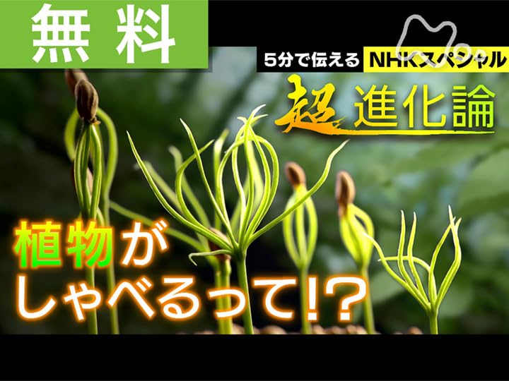 Amazon.co.jp: NHKスペシャル 超・進化論を観る | Prime Video