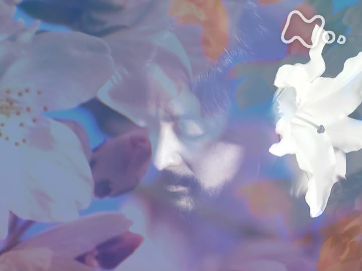 Amazon.co.jp: 植物に学ぶ生存戦略 話す人・山田孝之(NHKオンデマンド)を観る | Prime Video