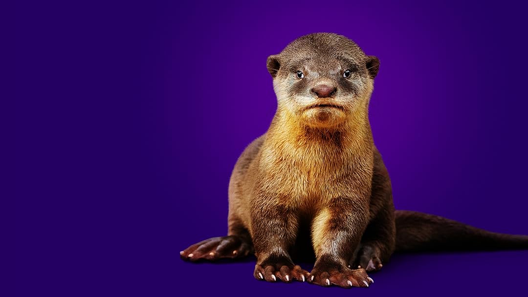 Amazon.co.jp: Otter Dynasty - Season 1を観る | Prime Video