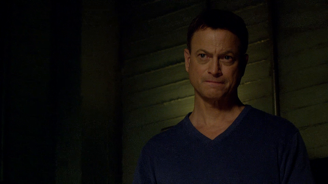 CSI: New York Season 6を観る | Prime Video