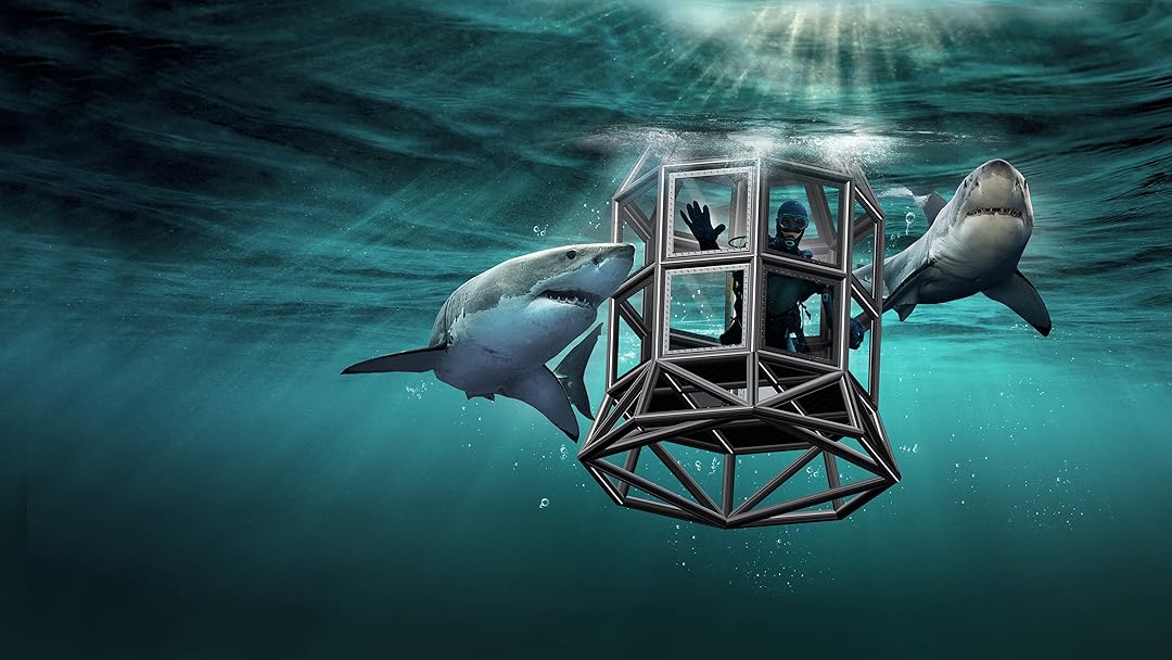 Shark House - Season 1を観る | Prime Video