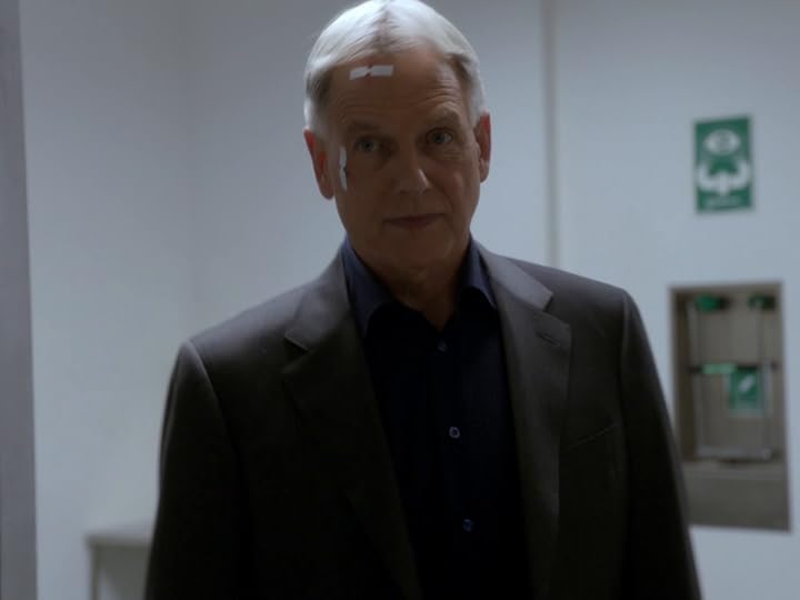 Amazon.co.jp: NCIS - Season 13 : Mark Harmon, Michael Weatherly, David ...